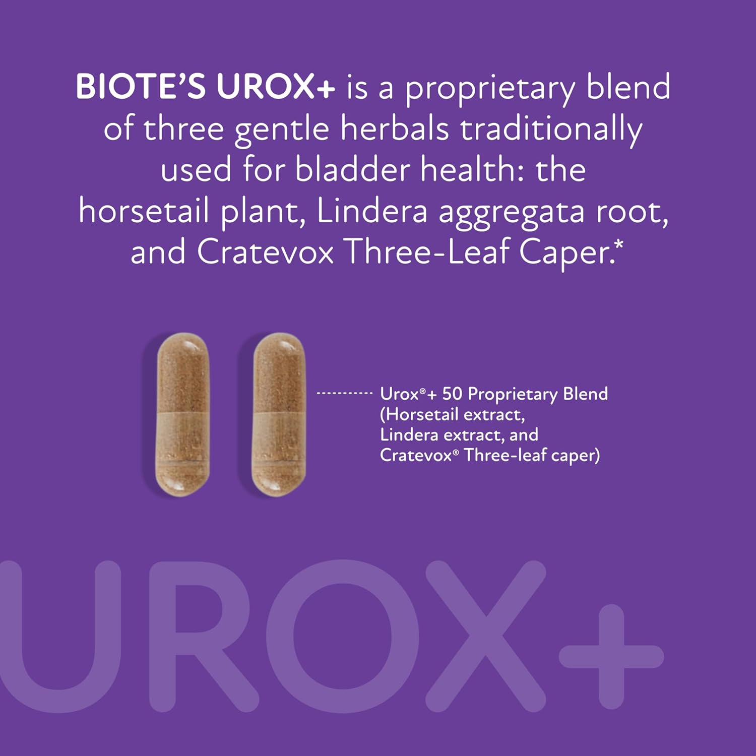 Biote UROX+ Bladder Control Support Supplement (60 Capsules)